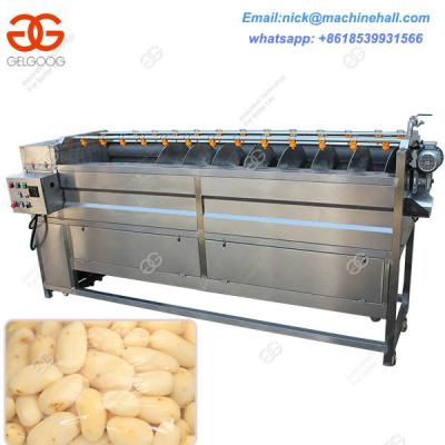 China Automatic Vegetable and Fruit  Potato Bubble Washing Machine|Stainless Steel Potato Air Bubble Washing Machine Suppliers for sale