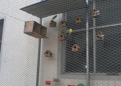 China Inox webnet zoo solutions / Stainless steel aviary mesh cage / animal enclosure for sale