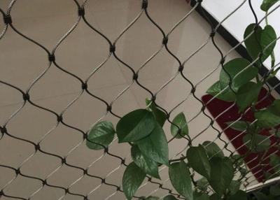 China High strength stainless steel green wall system / Inox wire rope trellis for sale