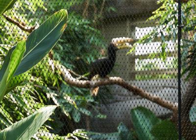 China Easy install 316 stainless steel aviary mesh structure / ss animal mesh cage for sale