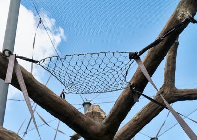 China Anti-corrosion AISI 316 stainless steel wire rope mesh for bird netting for sale