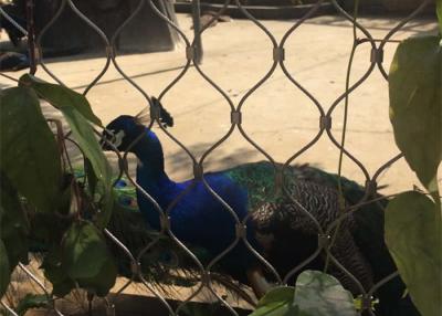 China Anti-corrosion AISI 316 stainless steel cable mesh / zoo enclosure bird netting for sale