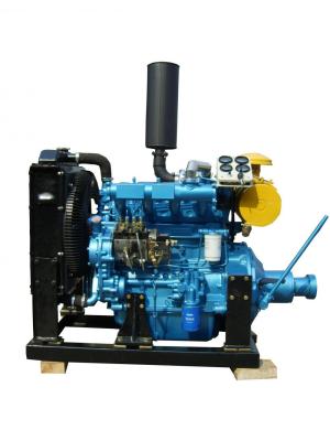China motor diesel de 55HP Ricardo con el embrague del Pto en venta