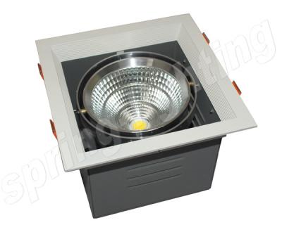 Cina luci del proiettore di 30W LED in vendita