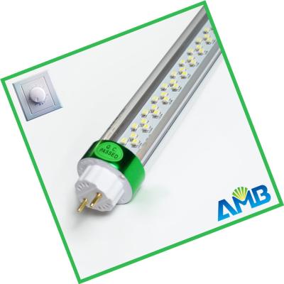 Cina 3200K / 6500 k DC 12V / 24V ristorante, Hotel dimmerabile T8 LED SL518 in vendita