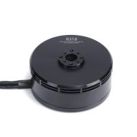 China MAD 8318 IPE Brushless DC Motor for sale
