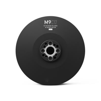 Cina M9C12 IPE V3.1 Motore a corrente continua senza spazzole con fori di montaggio da 40 mm in vendita