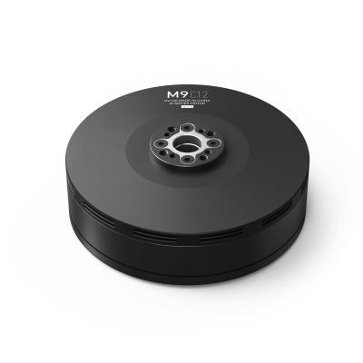 Cina M9C12 IPE V3.1 Motore a corrente continua senza spazzole con fori di montaggio da 40 mm in vendita