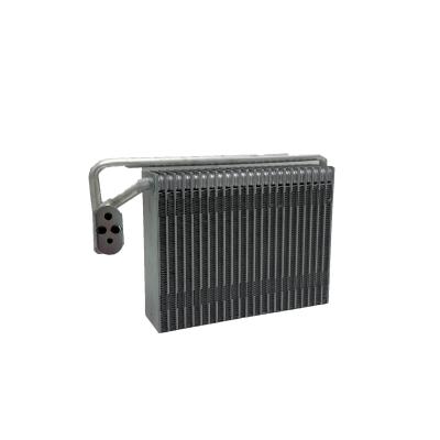 Cina Evaporatore 12V AC Auto Climatizzatore Evaporatore Auto Per BMW E46 in vendita