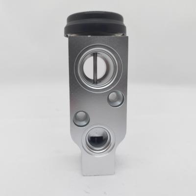 Cina 616822J20V/96492806 Valvola di espansione automatico AC per BUICK EXCELL LACROSS in vendita
