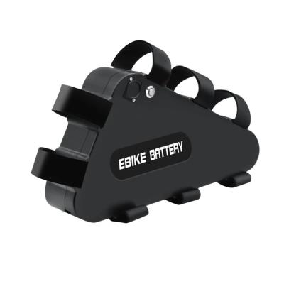 Cina Customized Capacity Triangle Electric Bike Battery With Brand 18650 Cells in vendita