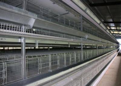 Cina Il tipo economizzatore d'energia gabbie per polli della gabbia di H/cavo del pollo di strato funziona costantemente in vendita