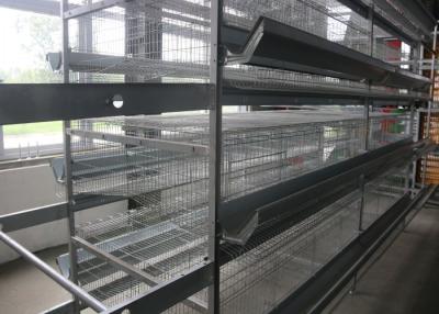 China Conventionele h-het Eikooi van de Kaderkip voor Ontwerp van de Legkippen het Vrije Lay-out Te koop