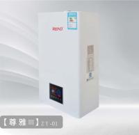 China Wall Hung Gas Combi Boiler 20kW LPG NG Dual Function Imported Components for sale