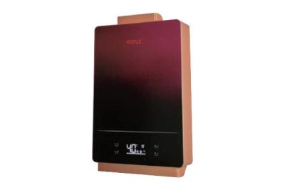 Cina parete Hung Boiler Rapid Heat del gas di 12L 14L in vendita