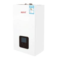 China Gas Wall Hung Boiler Dual Functions Copper Exchanger 20kW Heating and Bathing for sale
