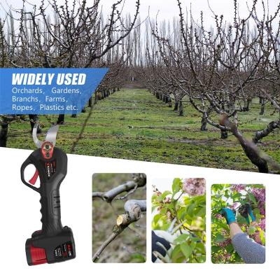 Cina tagli di potatura elettrici di 16.8V 25mm, potatrici senza cordone del giardino per la guarnizione del frutteto in vendita