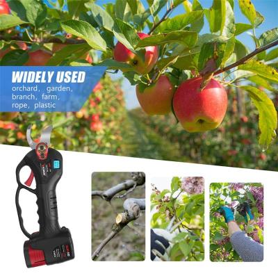 Cina tagli di potatura a pile del giardino di 25mm con la batteria dell'esposizione di LED 2Ah in vendita