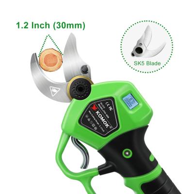 China 21V 2Ah 2000mA Battery Powered Pruning Tools For Branches Trimming for sale