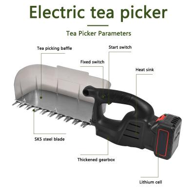 China Portable electric tea picker Outdoor small lithium battery crop hedge trimmer Single head tea picker à venda
