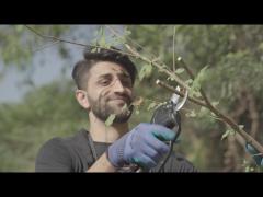 cisailles électriques de 16.8V 25mm, jardin sans fil Pruners pour le règlage de verger