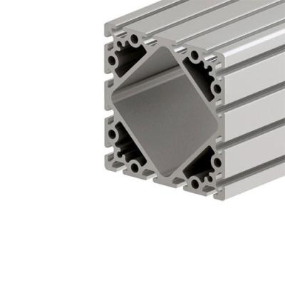 Cina 160 profilo della scanalatura di altezza T di serie 12.3mm/T di alluminio di profili dell'estrusione in vendita