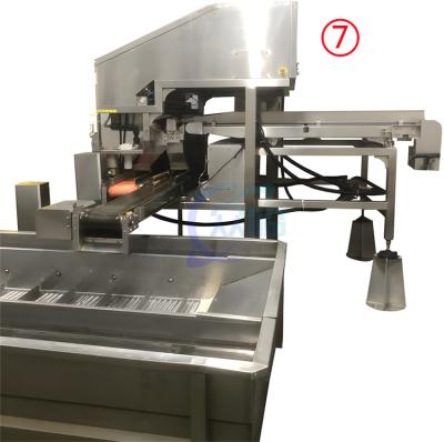 China Industrial Shrimp Deheading Machine SUS316 Durable For Head Cutting for sale