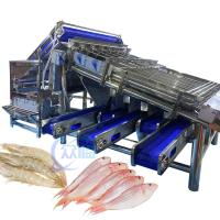 China Automatic Shrimp Grading Machine 4.9KW Stable For Vannamei Sorting for sale