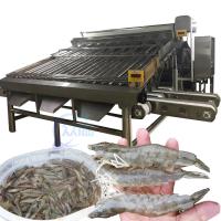 China SUS304 Practical Shrimp Sorting Machine , Anti Corrosion Prawn Grader for sale