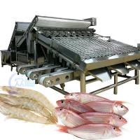 China 4.9KW Practical Fish Grading Machine , Automatic Fish Sorting Equipment for sale