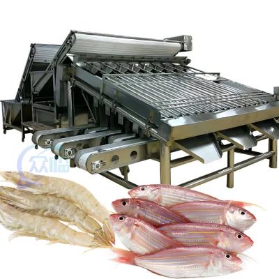 China 4.9KW Practical Fish Grading Machine , Automatic Fish Sorting Equipment for sale