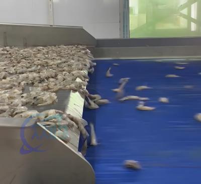 Cina Macchina di decapitazione di gamberetti in acciaio inossidabile 380V 50Hz Pratica in vendita