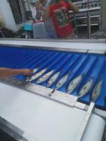 China ISO Automatic Fish Cutting Machine Multiscene 1550x800x1450mm for sale