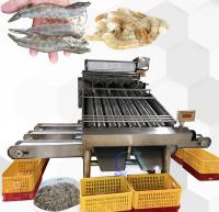 China Practical Shrimp Sorting Equipment Multiscene Anti Corrosion for sale