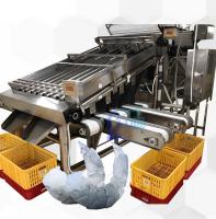 China Seafood Processing Shrimp Grading Machine 6000x3200x2200mm Stable for sale