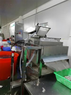 China Shrimp whisker separation machine Seafood Processing Factory Batch Shrimp Washing Machine Shrimp washing machine for sale
