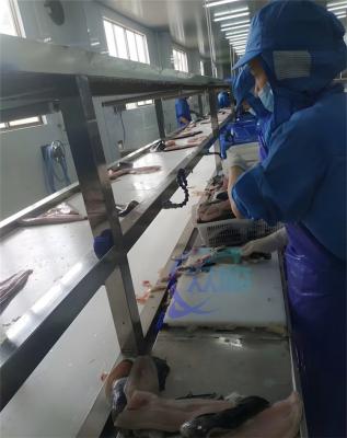 China Máquina de processamento e descascagem de mulas Fábrica de peixes Processamento, descascagem, descascagem e limpeza Máquina de descascagem eficiente à venda