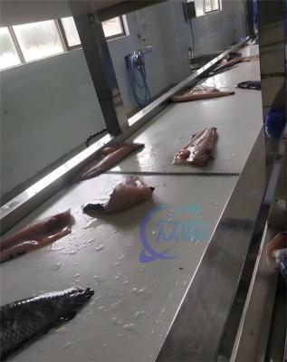China Máquina de processamento e descascagem de mulas Fábrica de peixes Processamento, descascagem, descascagem e limpeza Máquina de descascagem eficiente à venda