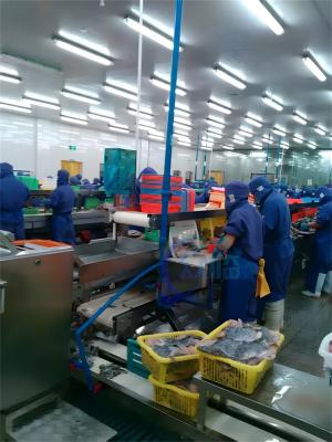 China Máquina de processamento e descascagem de mulas Fábrica de peixes Processamento, descascagem, descascagem e limpeza Máquina de descascagem eficiente à venda