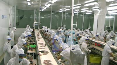 China Fabrica Venta directa Máquina de pelar de acero inoxidable de alta calidad Apto para todo tipo de peces Equipo de productos acuáticos en venta