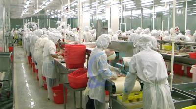China Fabrica Venta directa Máquina de pelar de acero inoxidable de alta calidad Apto para todo tipo de peces Equipo de productos acuáticos en venta
