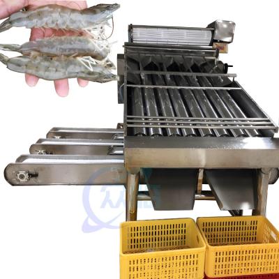 China Máquina de classificação automática do camarão da máquina de classificação da lavagem do camarão do equipamento de processo do marisco para a casca do camarão à venda