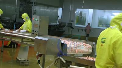 China Sushi Shrimp Processing Shrimp Production Line Seafood fish and shrimp processing machinery for sale