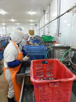 China seafood processing plant Commercial Shrimp Processing Equipment Butterfly Shrimp Open Back and Take Shrimp Intestines for sale