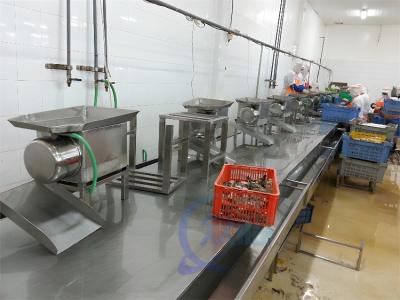 China Machines voor het verwerken van garnalen Te koop
