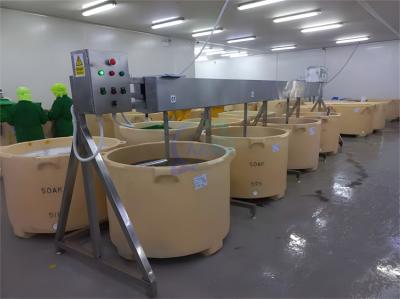 China Seafood Processing Shrimp Soaking Mixer Material Soaking Machine Kimchi Mixer Double-position Double-barrel Stainless St for sale