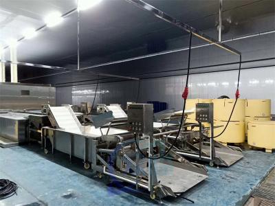 Cina Prodotto di gamberetti Impianto di trasformazione linea di produzione alimentatore piattaforma elettrica di versamento di materie prime Fabbrica vendita diretta in vendita