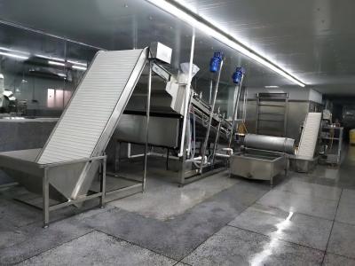 China Van de fabrieks automatische verse garnalen van de garnalenverwerking de schilmachine zonder shell van schadegarnalen schil en schilmachine Te koop