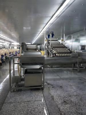 China Van de fabrieks automatische verse garnalen van de garnalenverwerking de schilmachine zonder shell van schadegarnalen schil en schilmachine Te koop