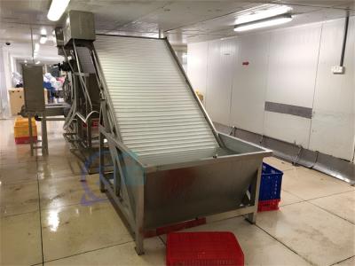 China Máquina de triagem de camarão inteligente de aço inoxidável 304 adequada para a indústria de produtos do mar à venda